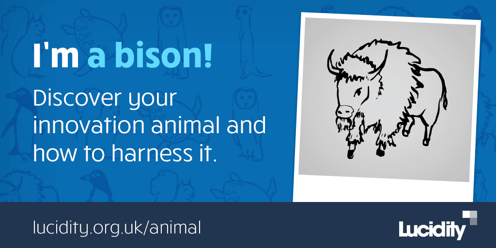 What's my innovation animal? > Lucidity