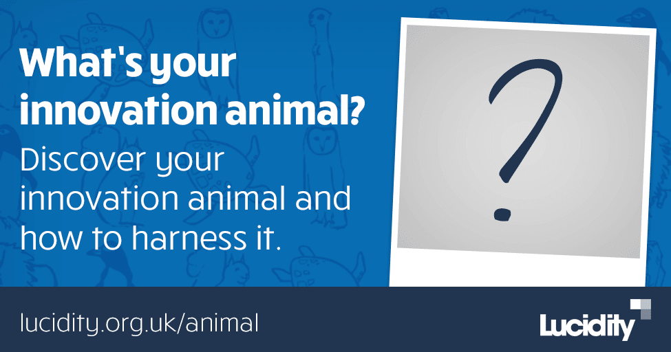 What's my innovation animal? > Lucidity
