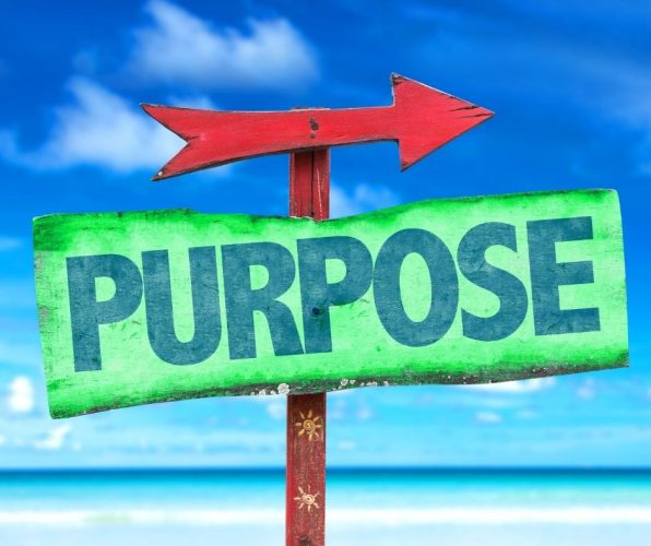 Do you have a sense of purpose? > Lucidity personal development