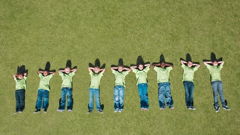 How tall is your team? > Lucidity assumptions