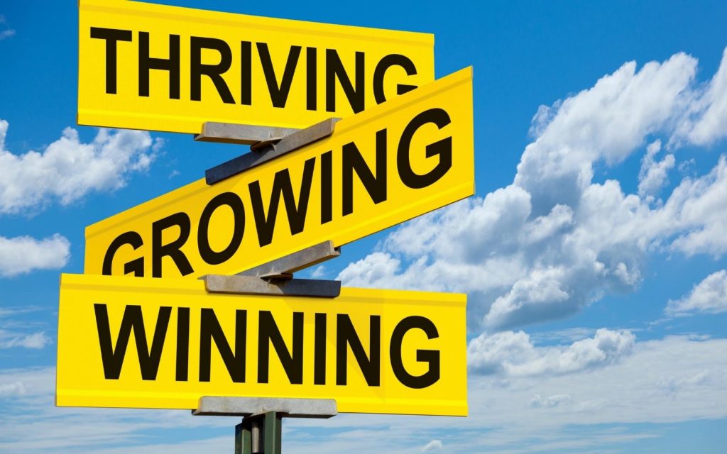 How do innovators thrive in a competitive market? > Lucidity