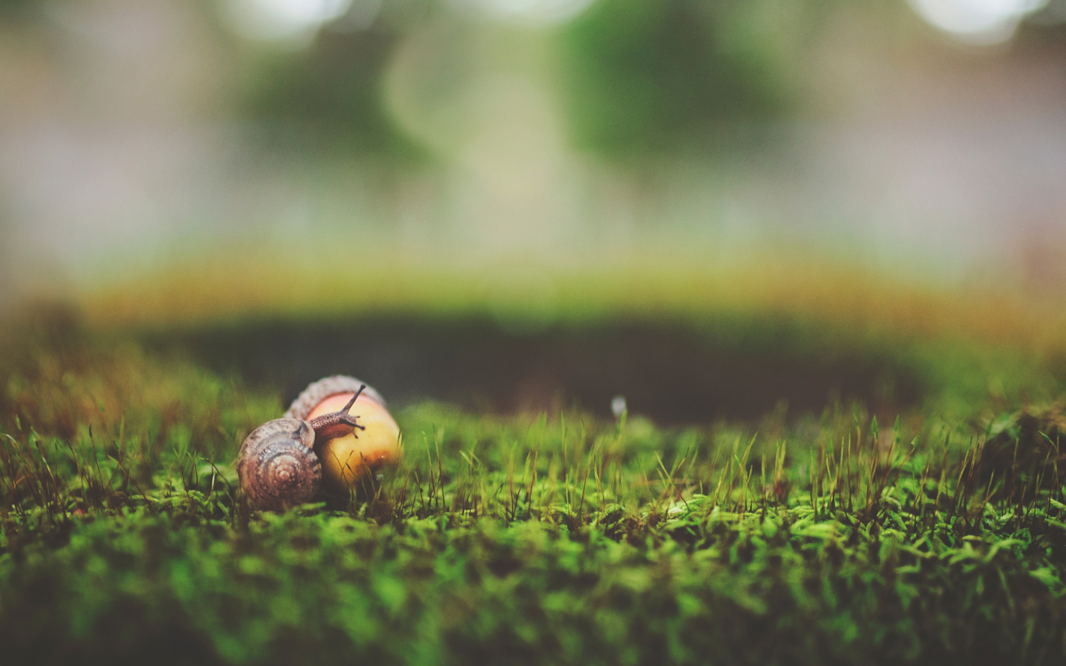 Slow progress is still progress > Lucidity